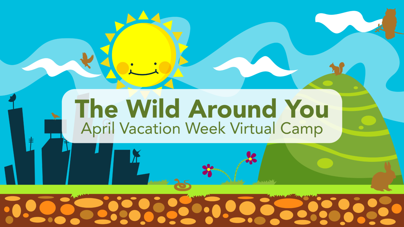 EcoTarium | Museum of Science and Nature