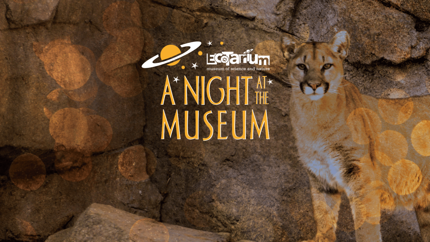 EcoTarium | Museum of Science and Nature