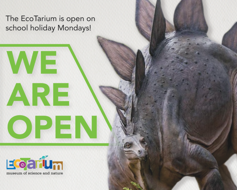 Events | EcoTarium