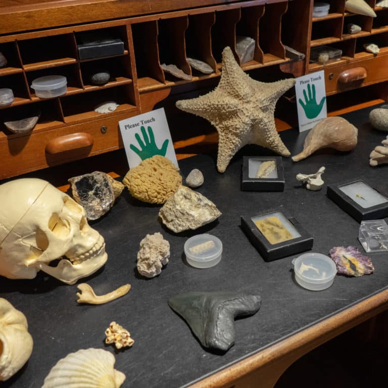 Indoor Explorations | EcoTarium