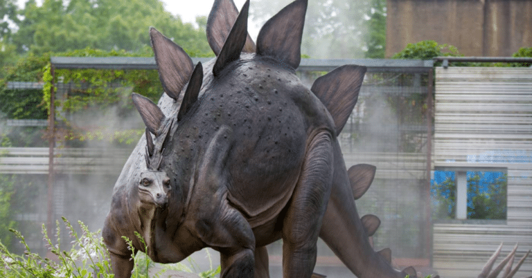 EcoTarium